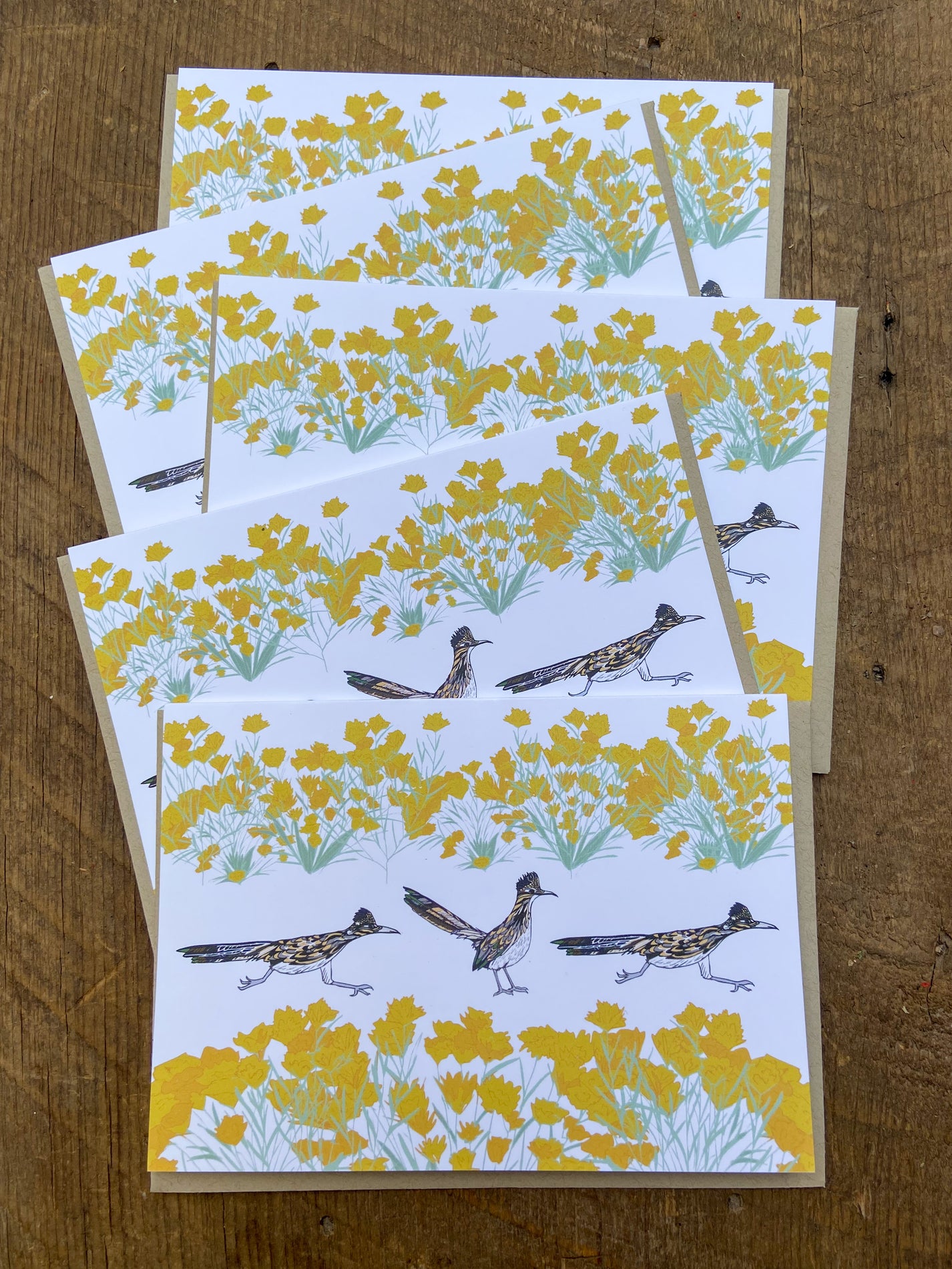 Roadrunner Greeting Cards - Set of 5 – Cielo Handcrafted